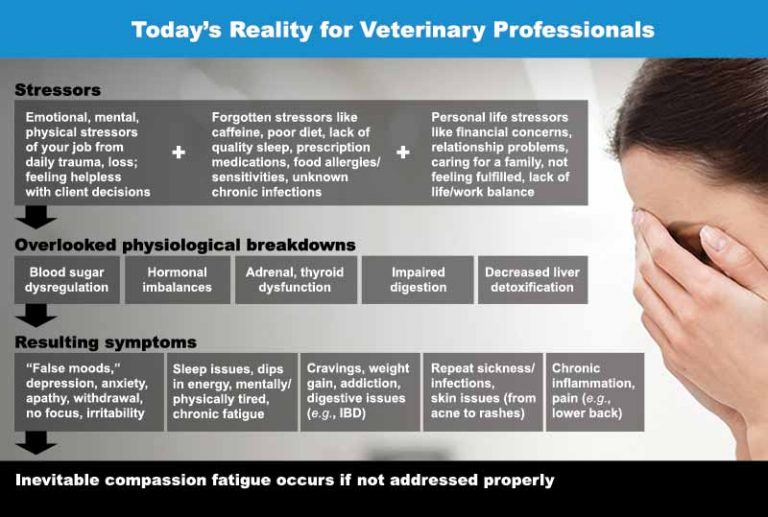 Conquer compassion fatigue once and for all - Veterinary Practice News ...