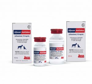 Injectable anesthetic Alfaxan Multidose approved by FDA - Veterinary ...