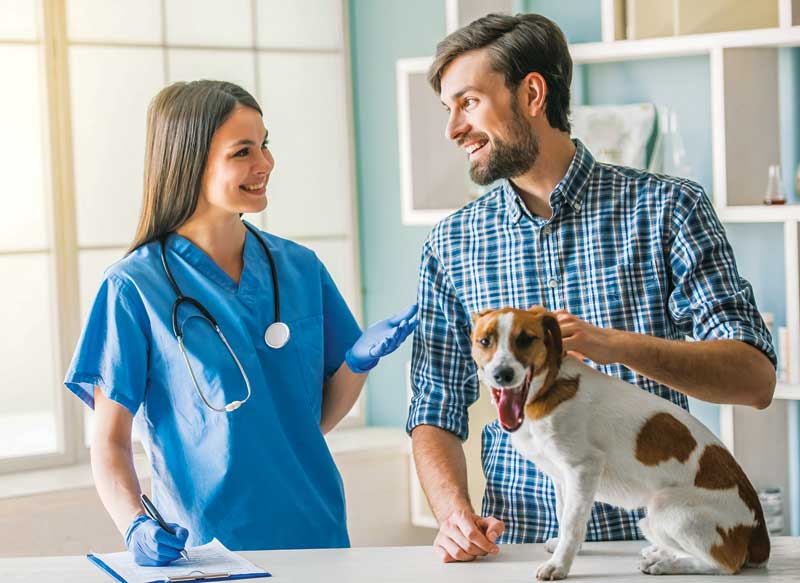 Feeling no pain with Fear Free - Veterinary Practice News Canada