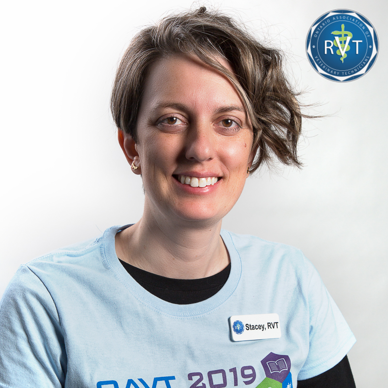 OAVT elects new president and vice-president - Veterinary Practice News ...