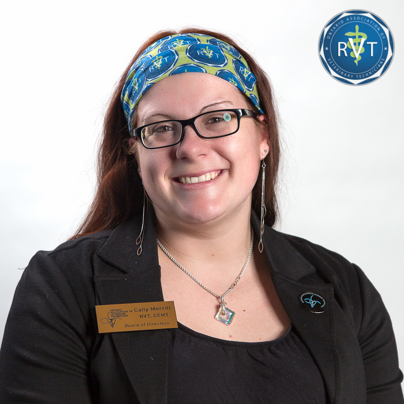 OAVT elects new president and vice-president - Veterinary Practice News ...