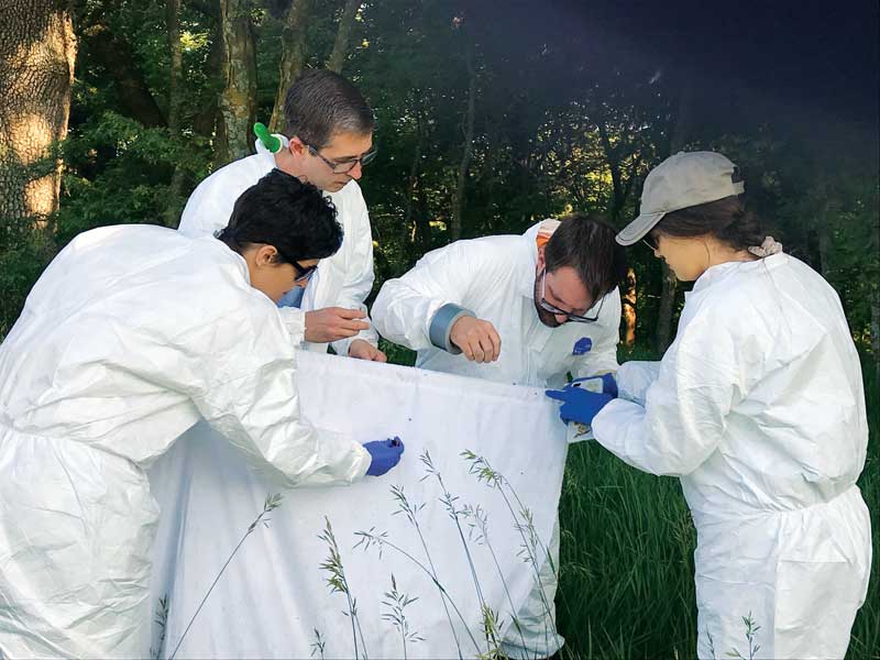 Getting into the ‘tick’ of things - Veterinary Practice News Canada