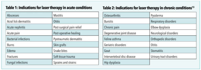 Laser therapy—Indications and contraindications - Veterinary Practice ...