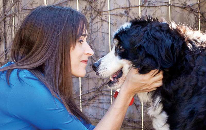 5 Questions With… Faith Banks, DVM, CHPV, CCRT, founder of Midtown ...