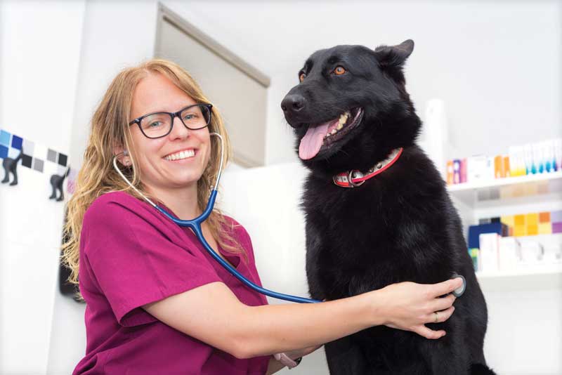 Keeping your practice healthy - Veterinary Practice News Canada