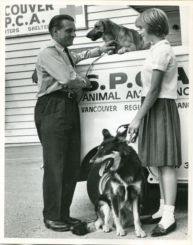 Dedication, education central to B.C. SPCA’s 125 years - Veterinary ...