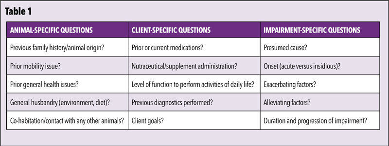 Zoological companion animals need rehab, too - Veterinary Practice News ...