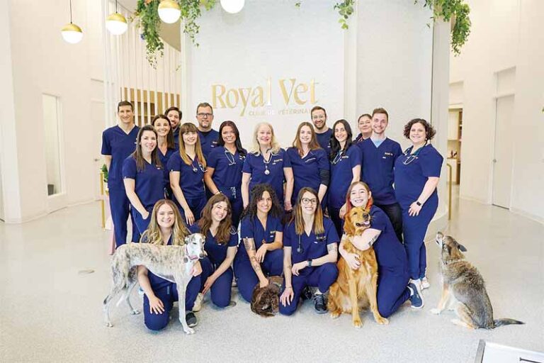 Five ways clinics can help fight burnout - Veterinary Practice News Canada