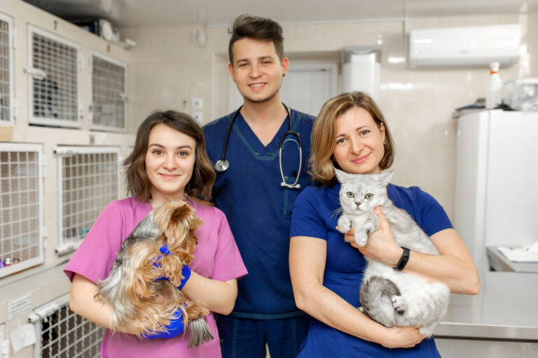 ‘Flexible and innovative’ facility accreditation model launched by CVO ...