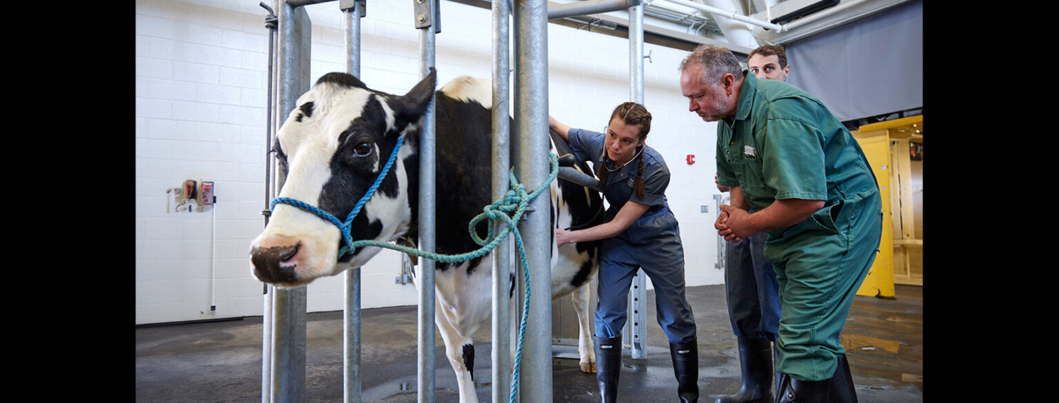 OVC welcomes first northern cohort to tackle rural vet shortage