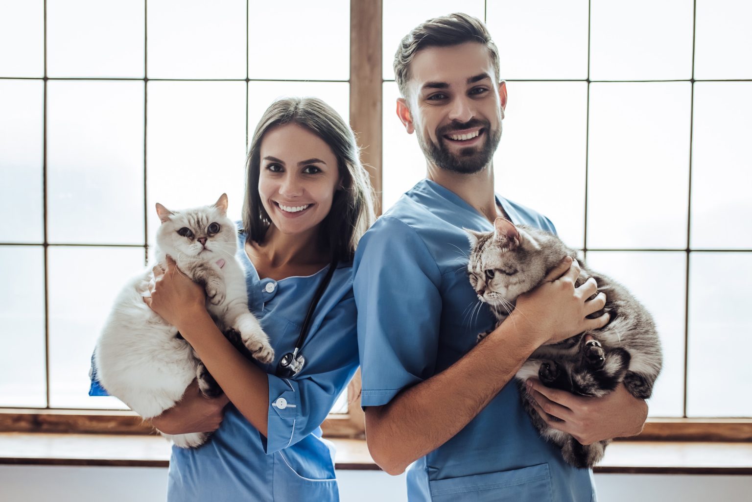 CVO reinforces antimicrobial stewardship responsibility in updated ...