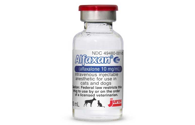 Veterinary Anesthetic Alfaxan Approved for U.S. Distribution ...