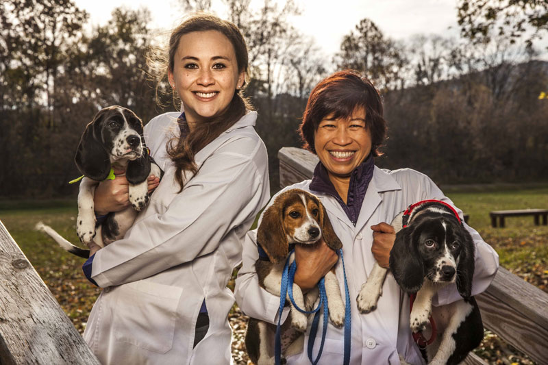World’s First ‘Test Tube’ Dogs Born at Cornell - Veterinary Practice ...