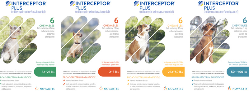 Elanco Introduces New Variety of Interceptor - Veterinary Practice News ...