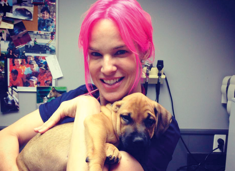 Go Pink? - Veterinary Practice News Canada